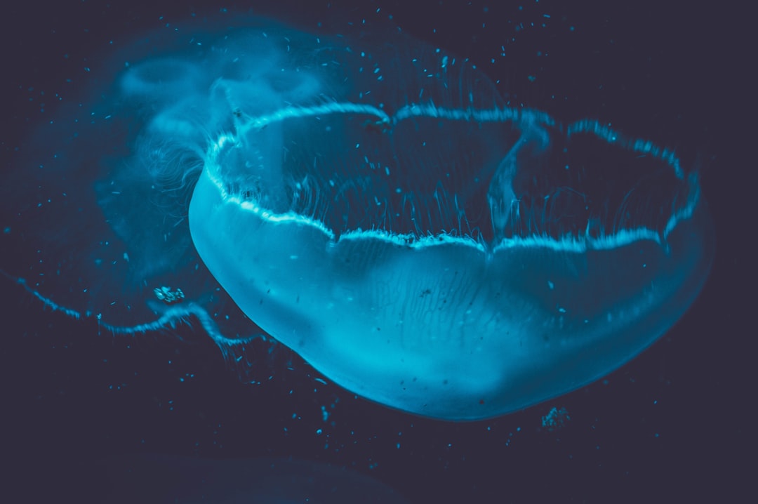 Mitochondrial Eve: Evidence of Extraterrestrial Origins?